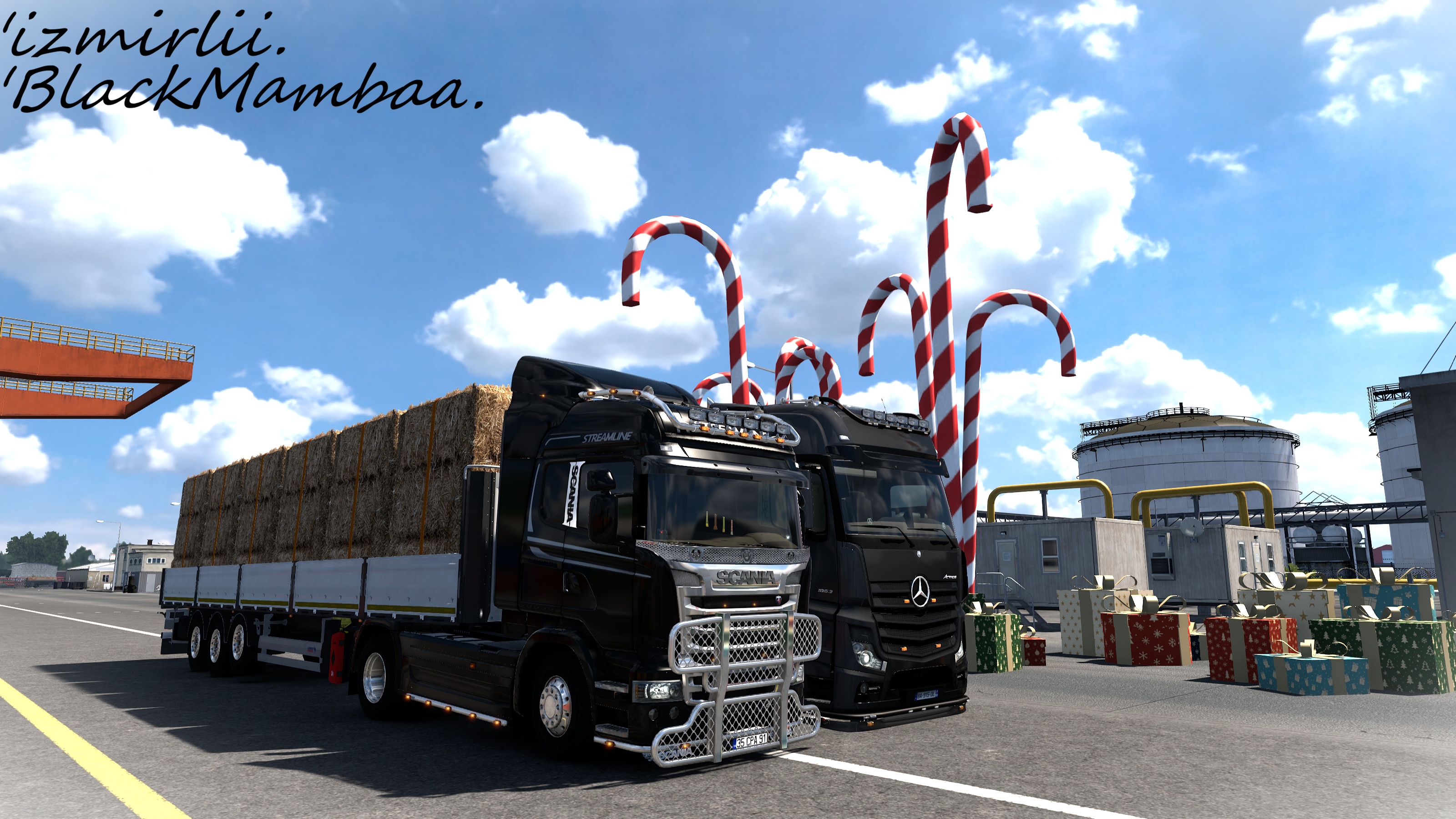 Royal Swag - News - ⚜️ - This Month’s Selected Shots 2 — TruckersMP