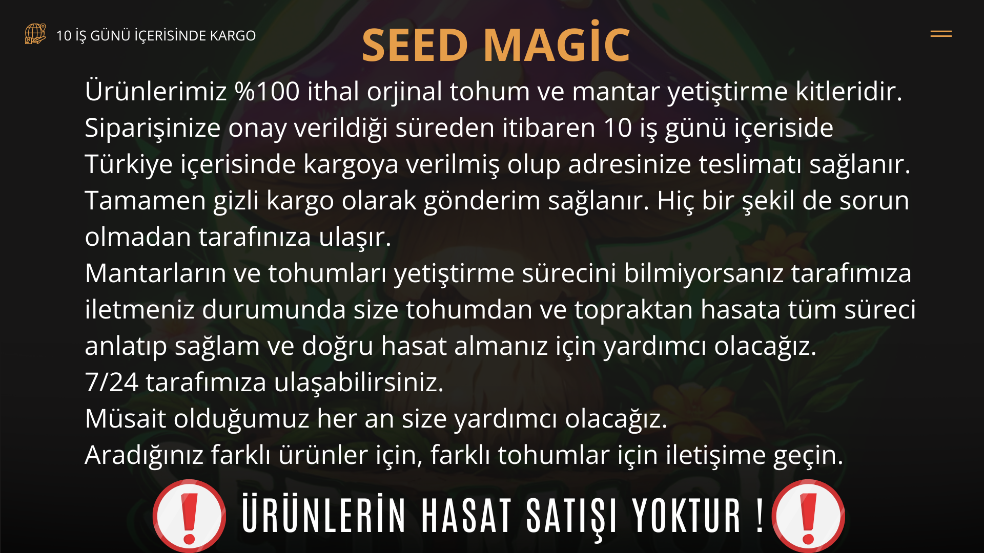 Seed Magic | Linktree