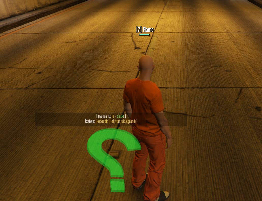 GitHub - flamexr/hot-antionepunch: FiveM Anti One Punch